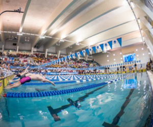 Introducing the McAuley Aquatic Center | Georgia Tech Foundation